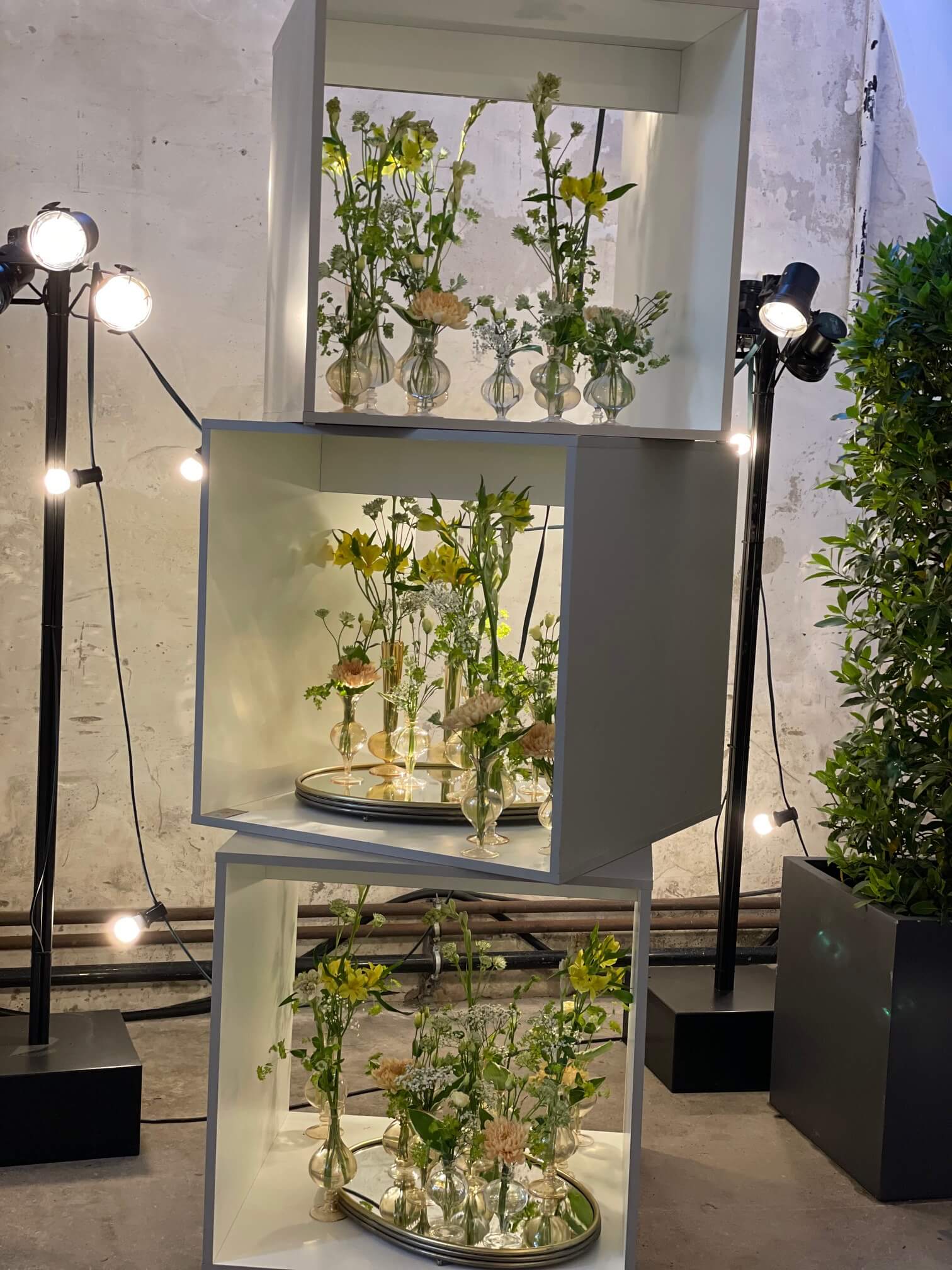 Blumenhaus Mayer | Events - Blumenhaus Mayer